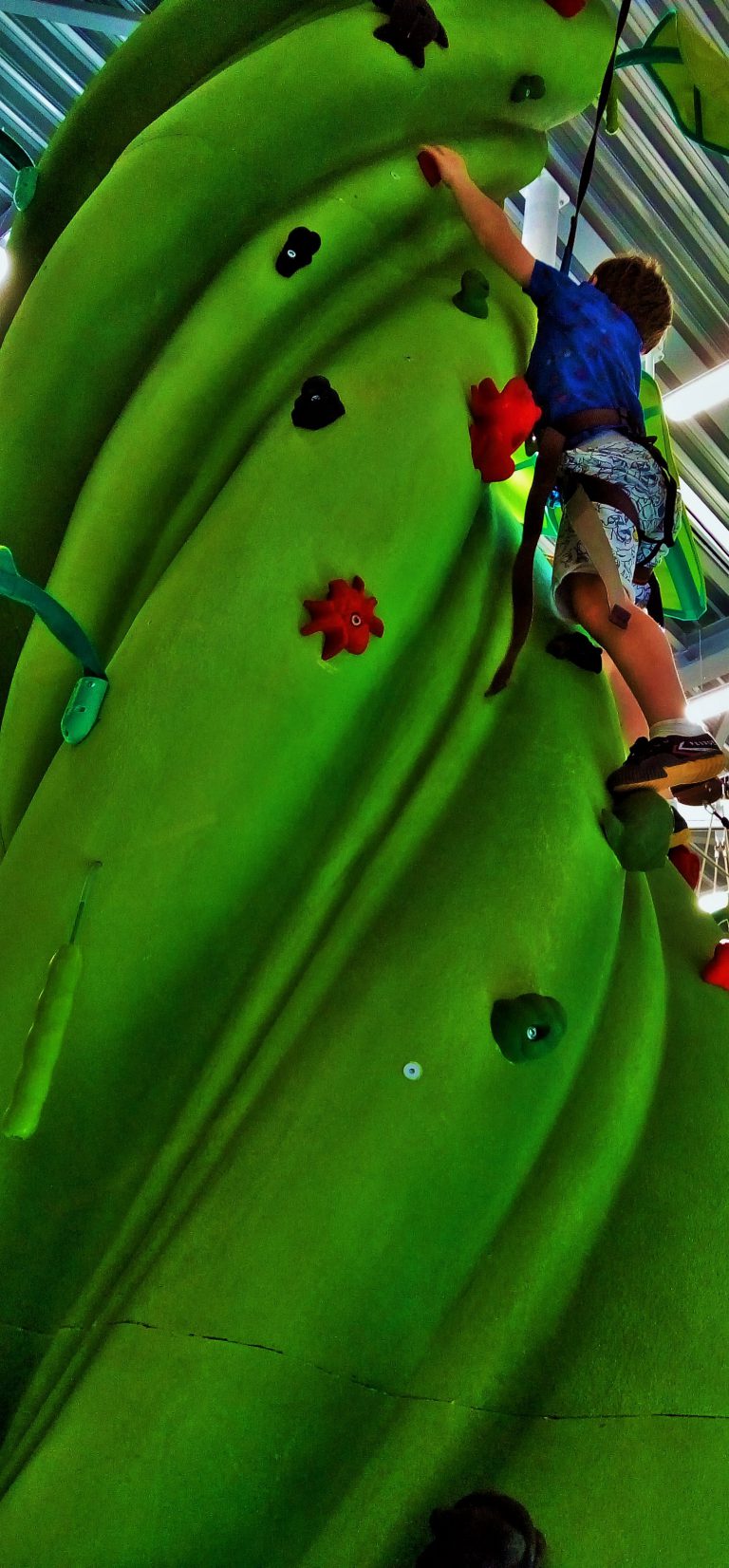 DE STORDEUR – Origineel klimpark in Leuven - Nooitgedachtland ...